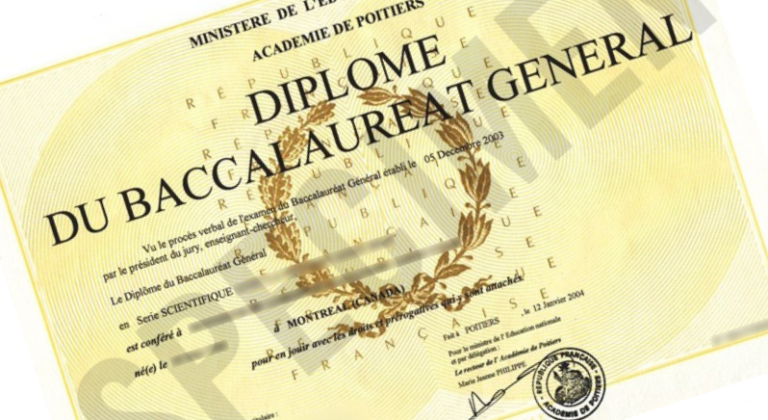 French Diplomas: Unlocking Global Opportunities for Students