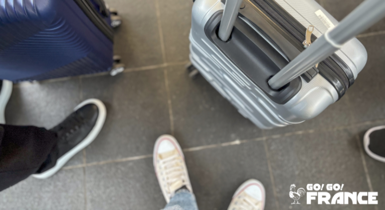 French Customs Guide: Allowed, Restricted & Prohibited Items