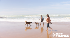 Father's Day in France: How French People Celebrate